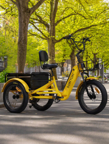 Asomtom - Finest Ebike for Everyone | All-Terrain| Cargo Ebike ...