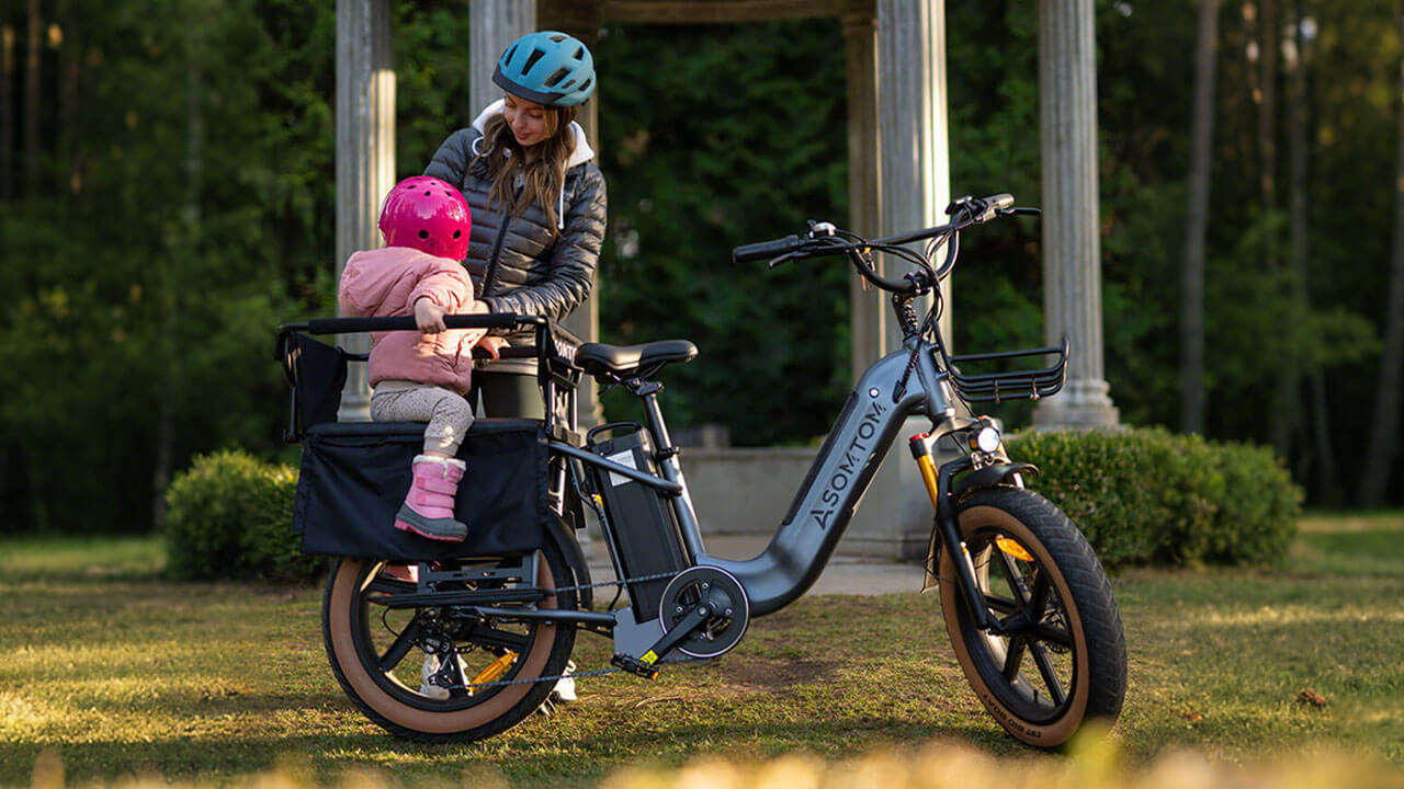 MAMMOTH Low-Step Cargo E-Bike – Dual Battery for Urban Living – Asomtom ...