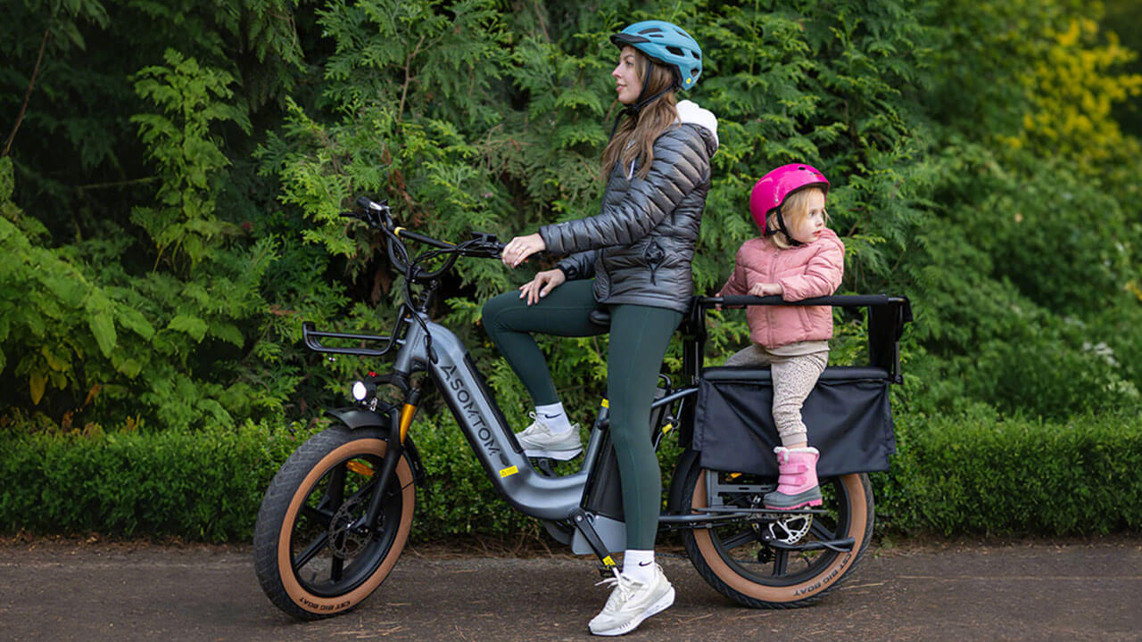 MAMMOTH Low-Step Cargo E-Bike – Dual Battery for Urban Living – Asomtom ...