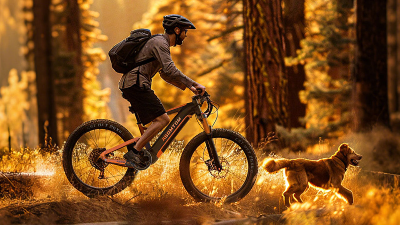 All-Terrain E-MTB SR6 – Your Ultimate Off-Road Companion – Asomtom Ebike
