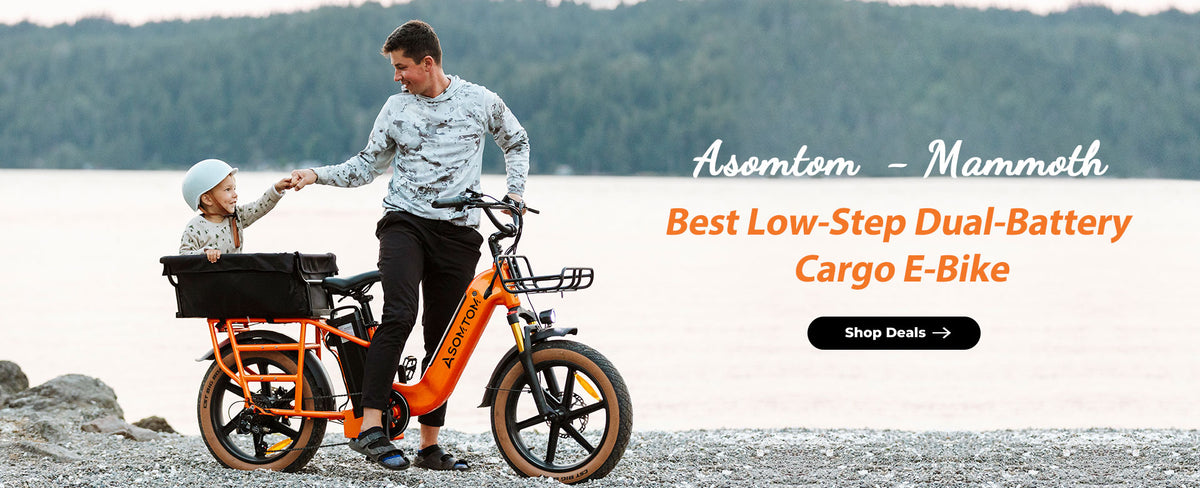 Asomtom - Finest Ebike for Everyone | All-Terrain| Cargo Ebike ...