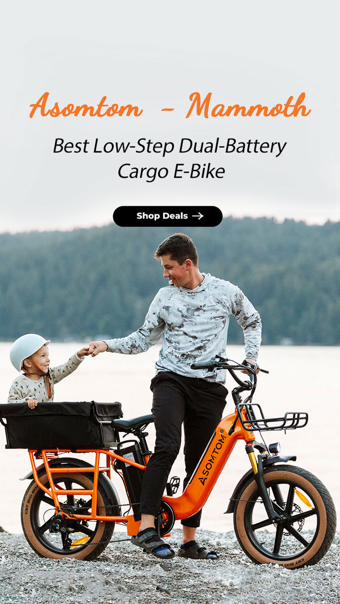 Asomtom - Finest Ebike for Everyone | All-Terrain| Cargo Ebike ...