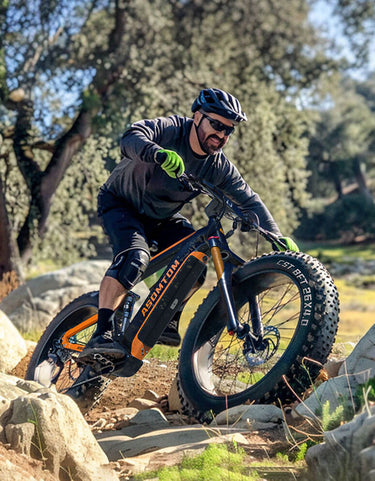 Asomtom - Finest Ebike for Everyone | All-Terrain| Cargo Ebike ...